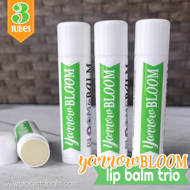 We've Moved! www.bloomtobalm.com – My Computer is My Canvas