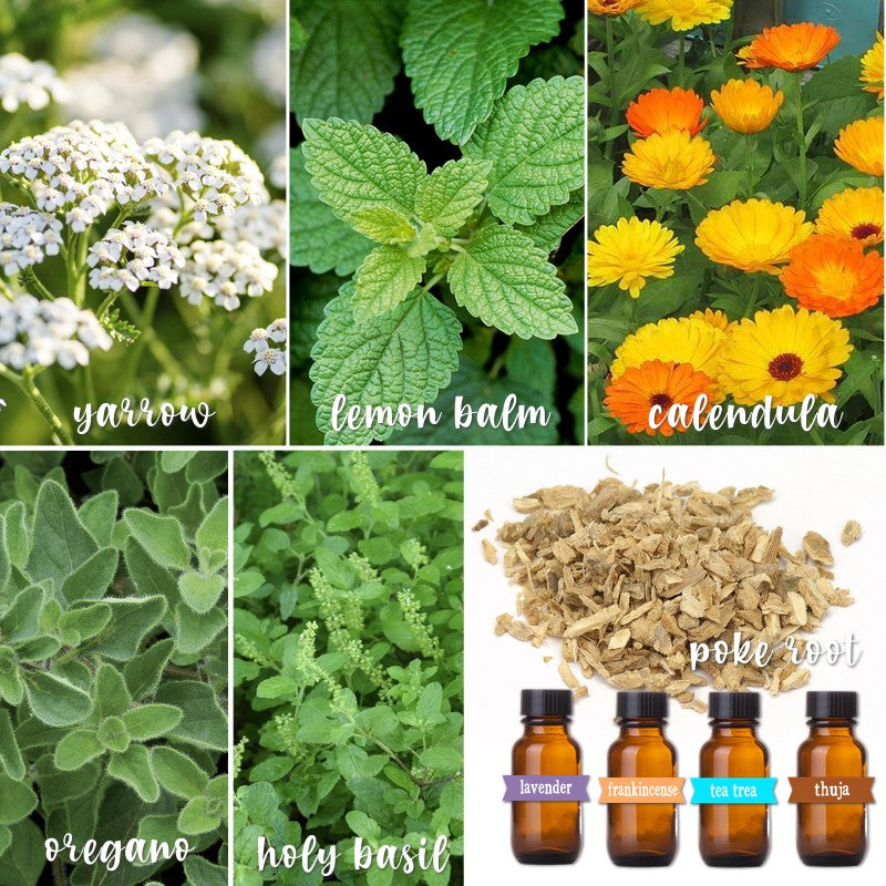 We've Moved! www.bloomtobalm.com – My Computer is My Canvas